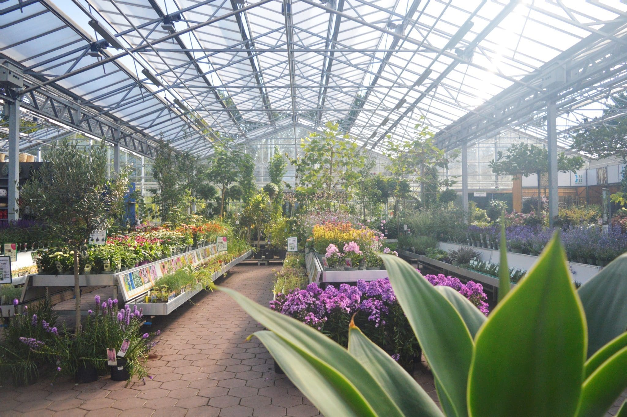 Intratuin Breda | Overdekt tuincentrum 12.000 m2 winkelplezier